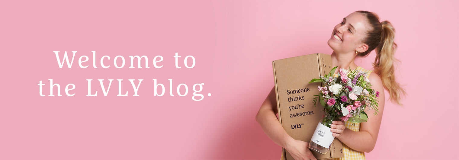 LVLY Blog