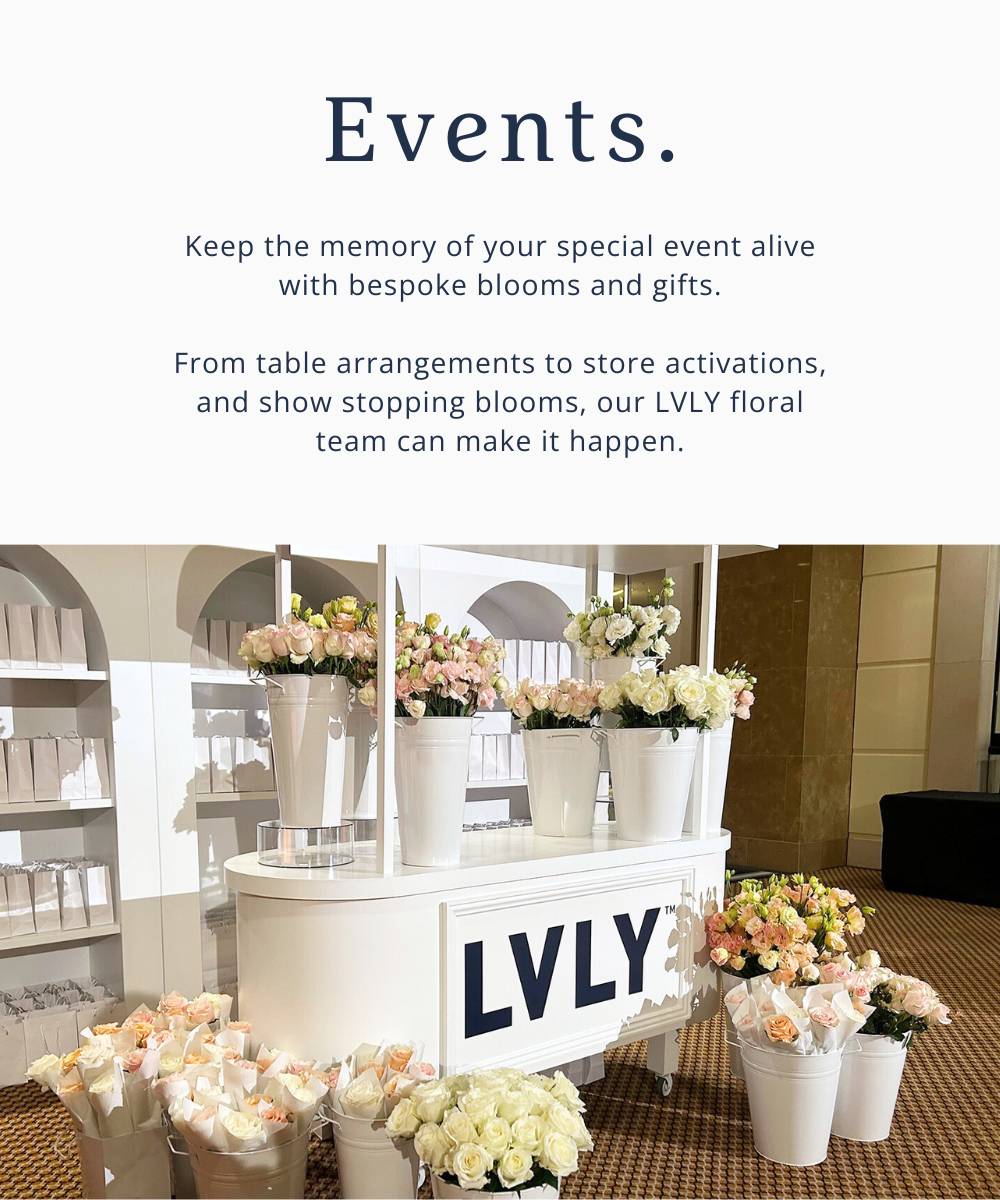 Corporate Gift Hampers - LVLY