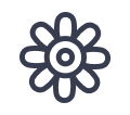 Flower Delivery Sydney | Same Day Delivery | LVLY